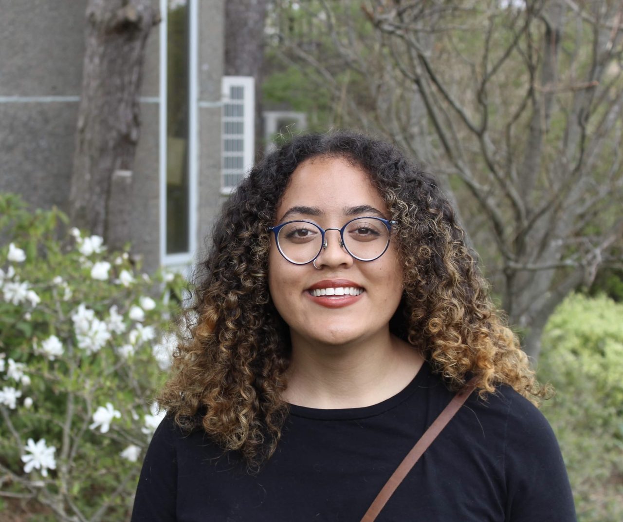 About Sea Change | Facilitative Leadership & Online Training